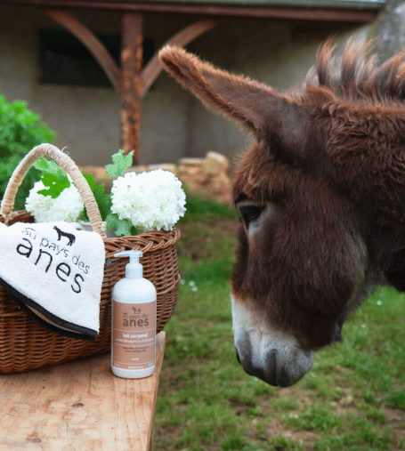 Soin visage bio et naturel au lait d'ânesse Hydr'aness - Au Pays des Ânes
